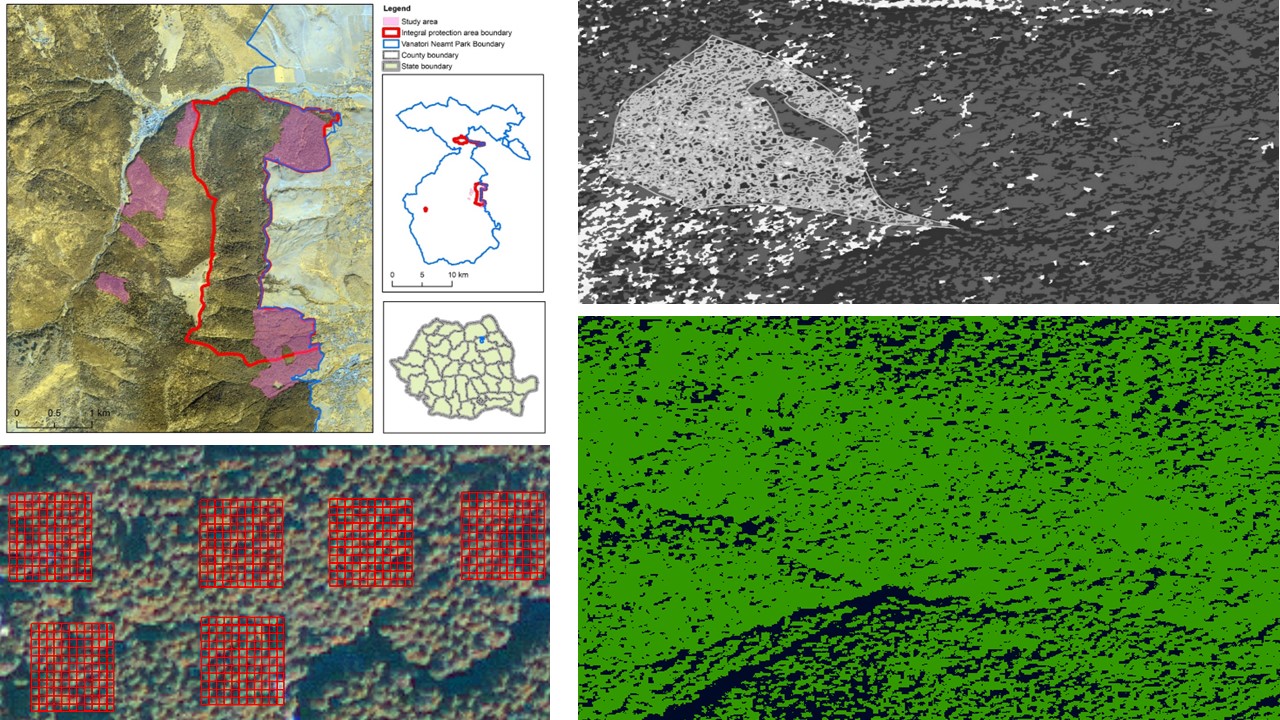 Combining visual interpretation and image segmentation to derive canopy cover index from high ...