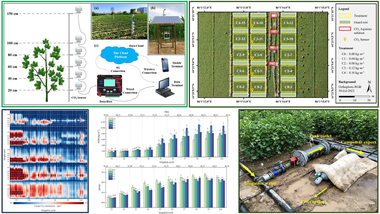 Effects of drip application of different concentrations of CO₂ solution ...